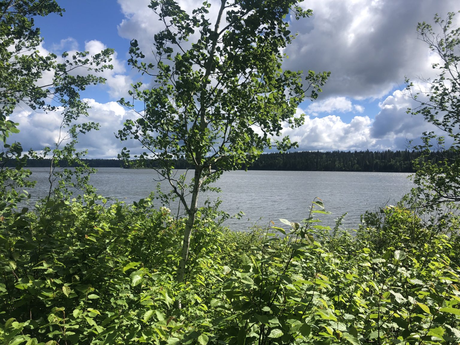 Top 4 Activities in Wasagaming: Riding Mountain National Park - The ...