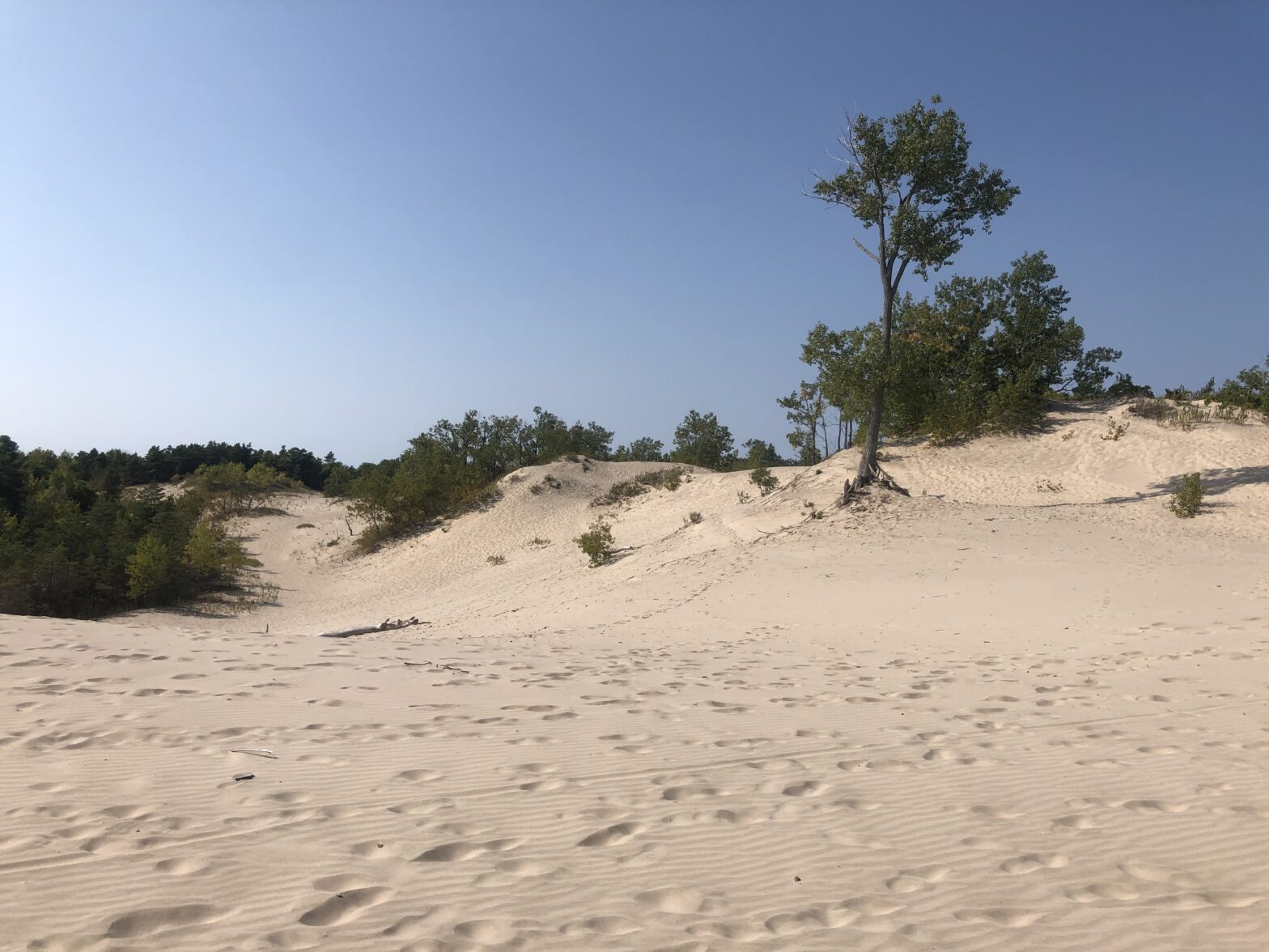 Sandbanks Provincial Park: Things to Know - The Travelling Maple Leaf